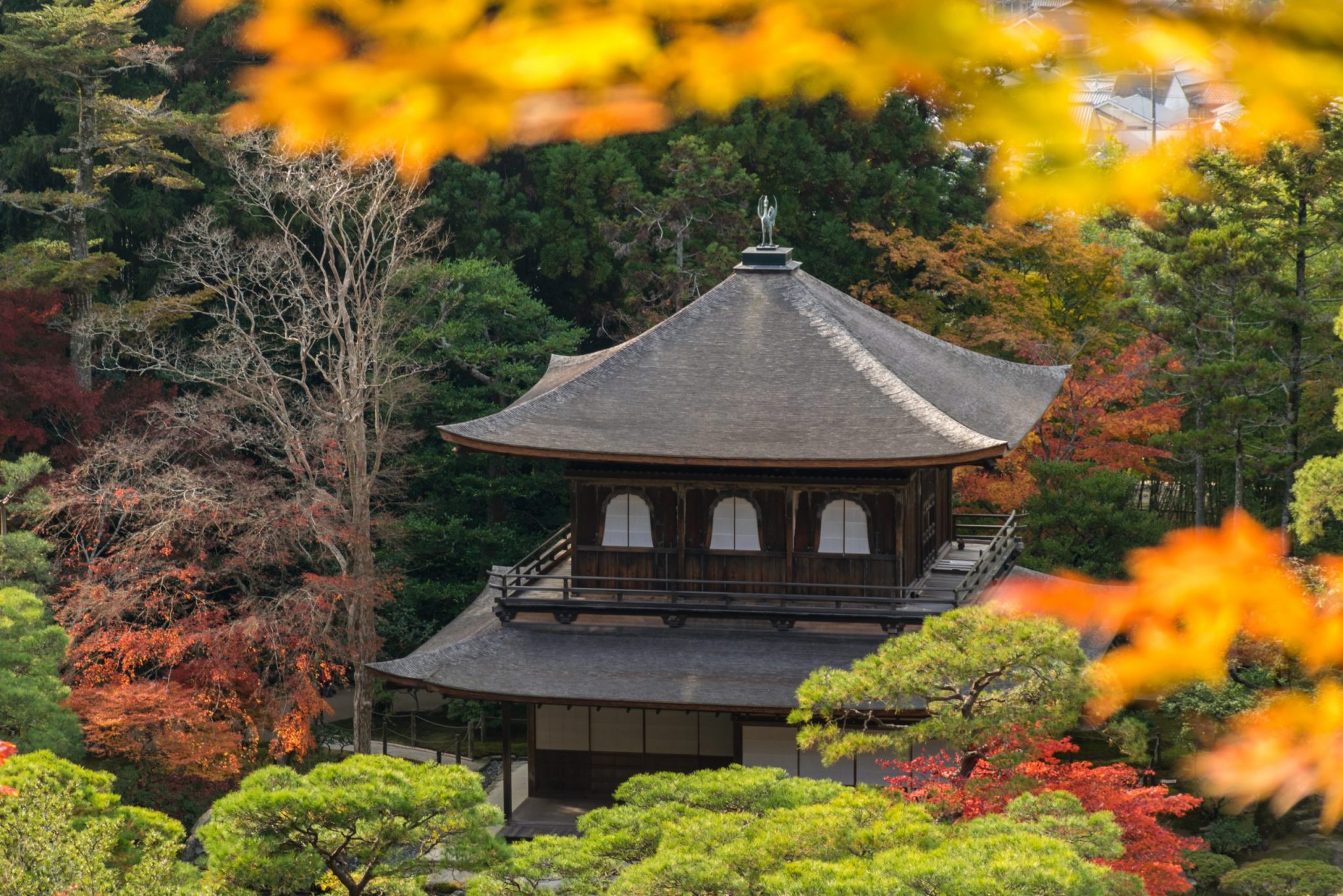 A Shinto Perspective on the Relationship Between Natural Rainforests ...